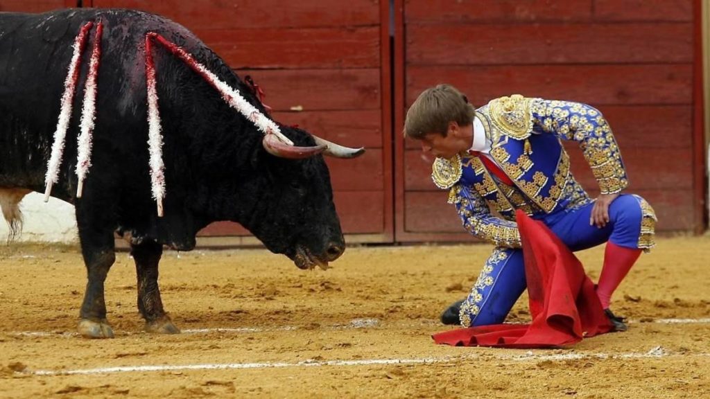 Les corridas ont repris en France, en Espagne et au Portugal – No Corrida
